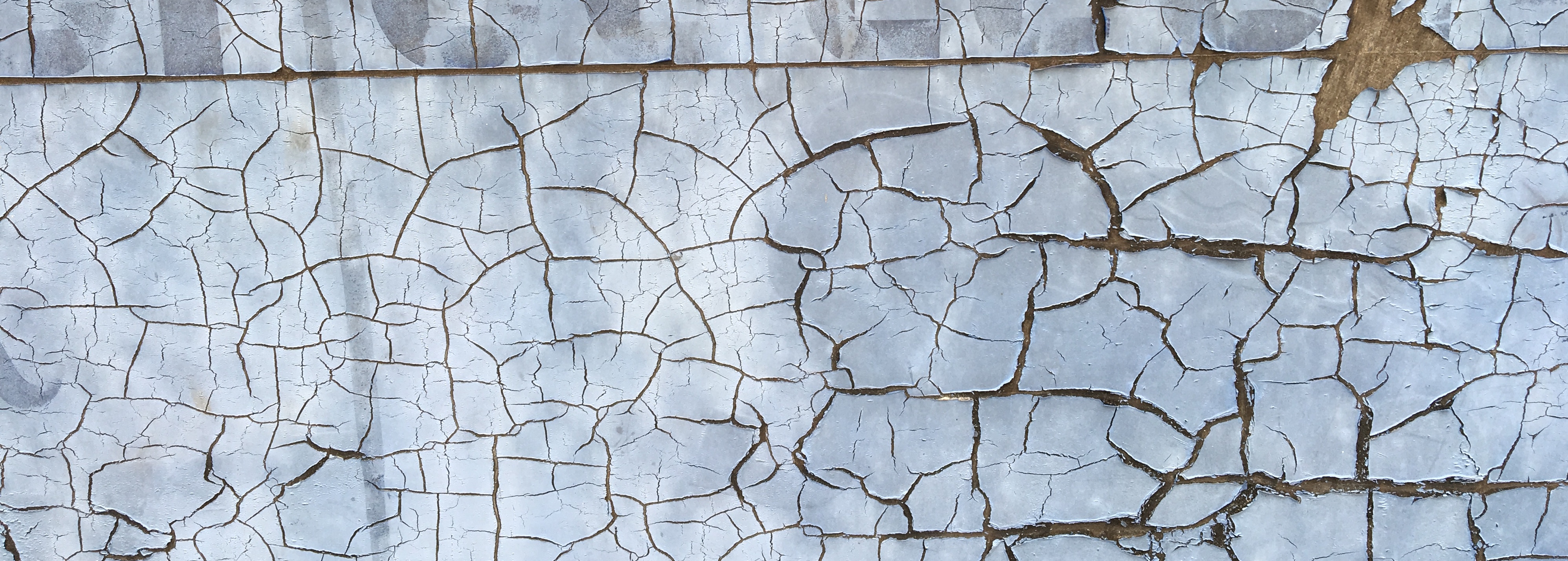 Autopsiebericht. Über „Walter Nowak bleibt liegen“ von Julia Wolf ...